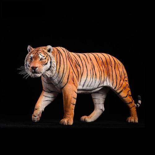 1/6 Scale Bengal Tiger Model Animal Figure for 12" Figures Prop Sence ...