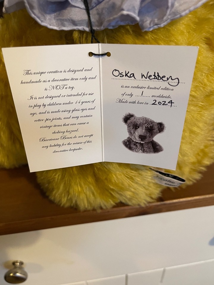 Barricane Bear 1/1 Oska Webbery 2024 by Rachel Ward. 41cm | eBay UK