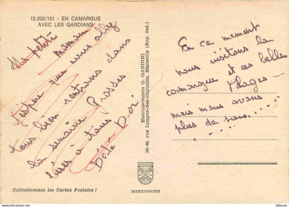 Carte Postale - 13 - Camargue - Multivues - Chevaux Camarguais - CPM ...