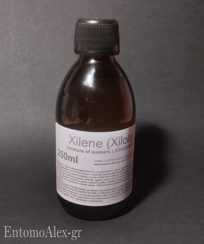 XILENE 100ml 250ml ( Xilolo ) solvente x balsamo Canada Fotografia ...