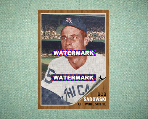 Bob Sadowski Chicago White Sox 1962 Style Custom Baseball Art Card | eBay