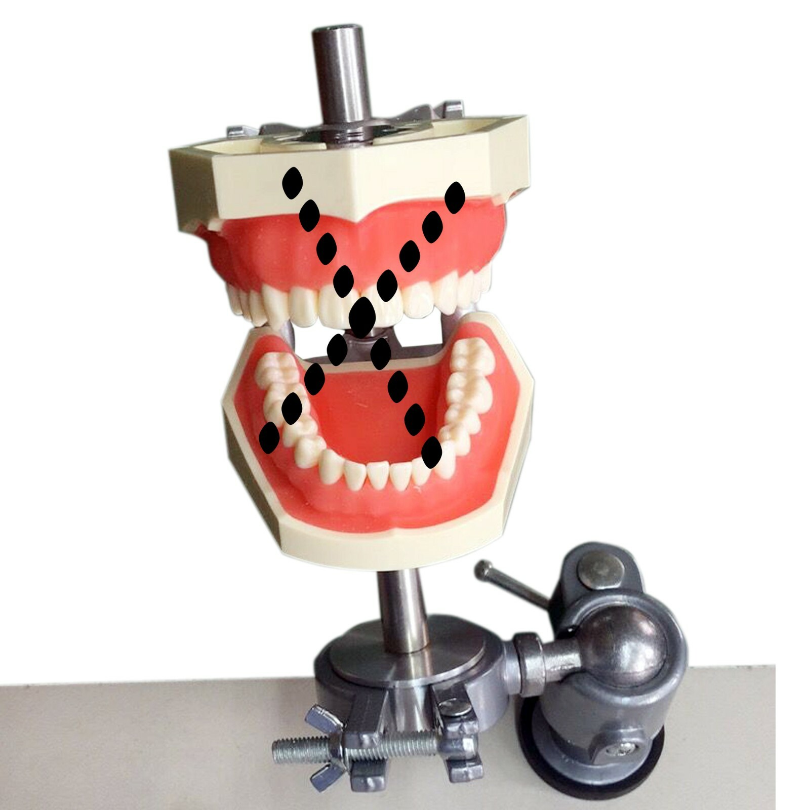 Dental Typodont Mounting Pole Fit Kilgore Nissin Columbia Dentoform ...