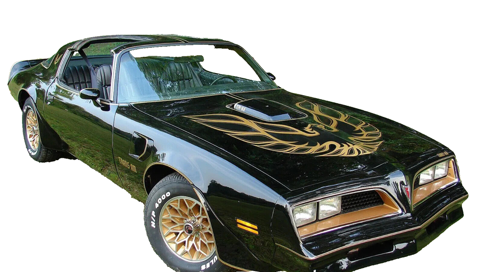 76-78 BANDIT TRANS AM SPECIAL EDITION COMPLETE GOLD DECAL KIT w STRIPES ...
