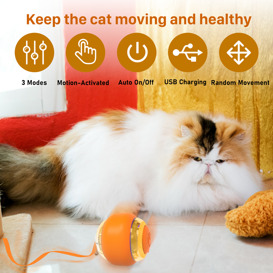 Auto Rolling Cat Ball Smart Toy LED Electric Kitten Training Toys ...