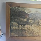 Tom Beecham Deer Family Buck Doe Framed Picture On Canvas 19.5x23.5 ...