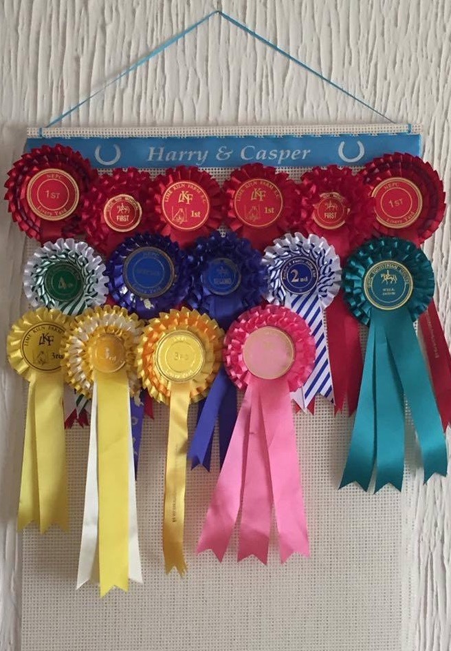 EXTRA LARGE PERSONALISED ROSETTE Display Hanger Holder DISPLAY YOUR ...