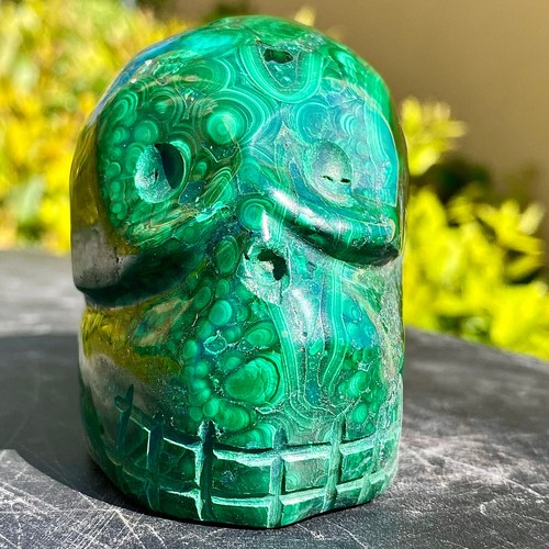 1.48LB Natural Malachite Quartz Crystal Skull Carved Stone Skeleton ...