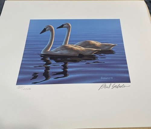 1981-82 NEVADA MIGRATORY WATERFOWL PHIL SCHOLER PRINT & STAMP #1307 / ...