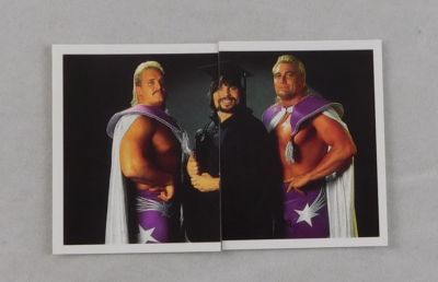 The Beverly Brothers Genius WWF Merlin Sticker Card Wrestling Wrestler ...