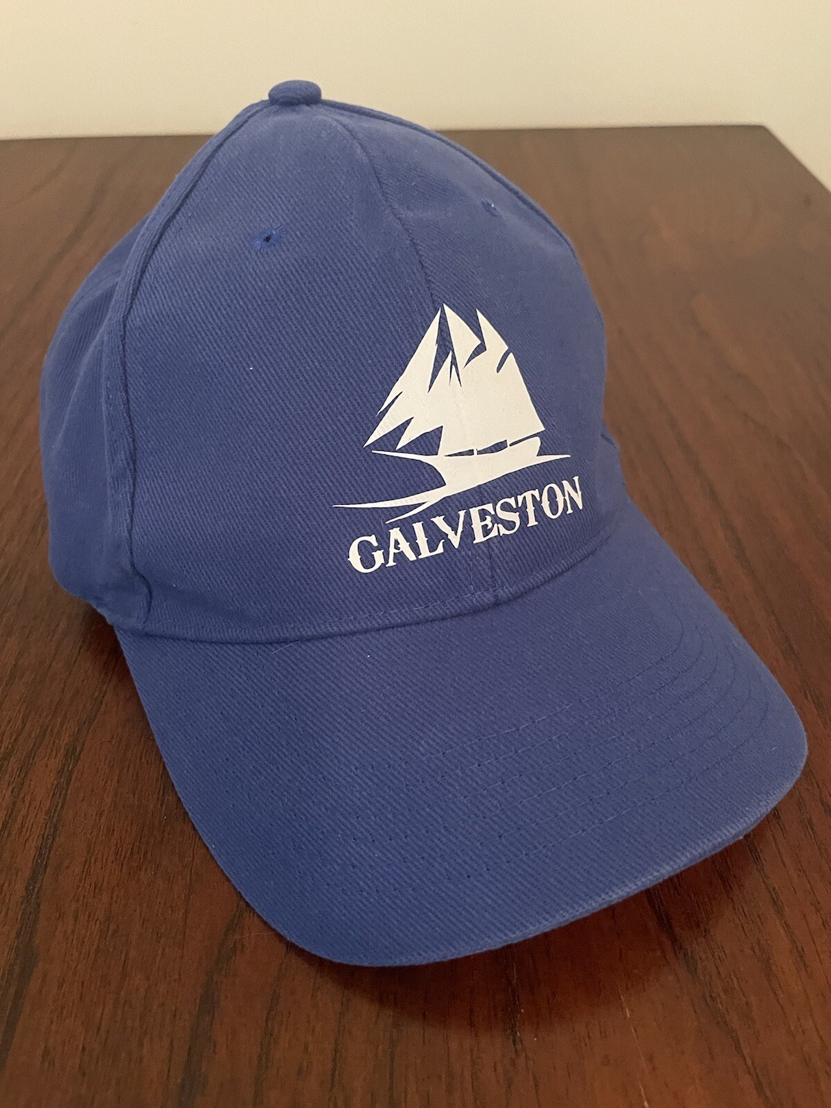 Rare Galveston Texas 2022 Logo Baseball Hat Cap - Gem