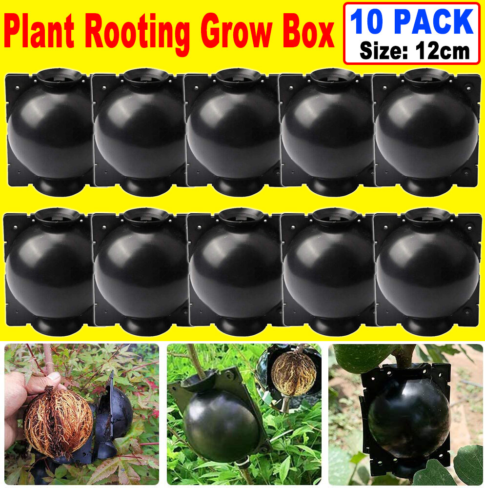 Reusable Large Plant Root Grow Boxes High Pressure Propagation Layer ...