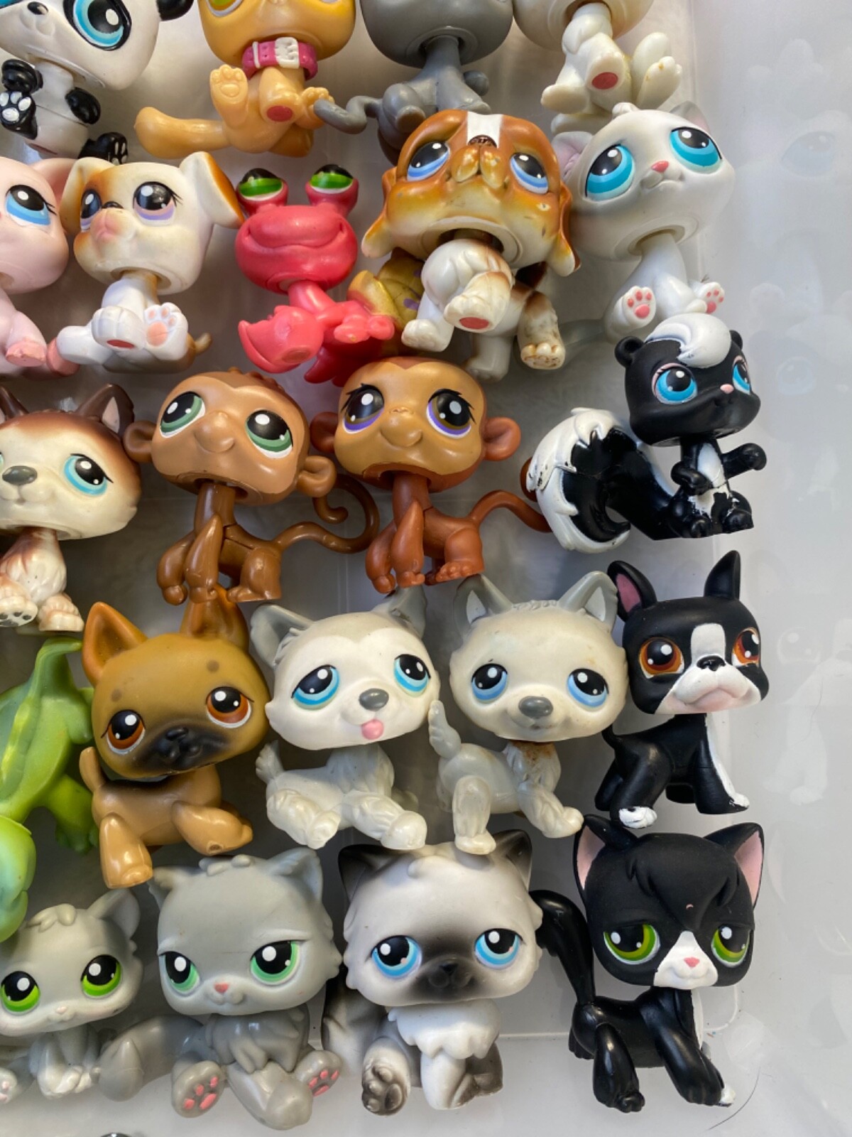 Littlest pet shop Dogs, Cats, And More! Main 5 Collies! #51-100 | eBay