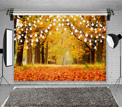 Autumn 5'x7' Computer/ Digital Scenic Vinyl Photo Background Backdrop ...
