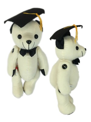 38CM Signature / Autograph Message Bears School Graduation Party Bear ...