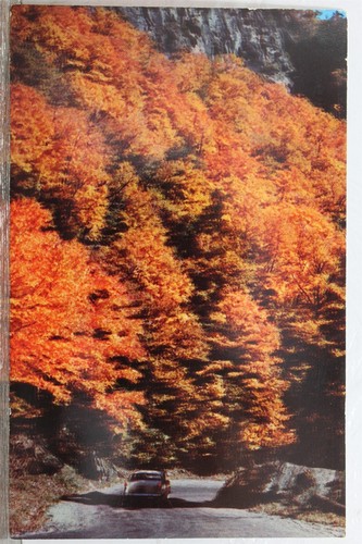 Vermont VT Stowe Smugglers Notch Road Postcard Old Vintage Card View ...