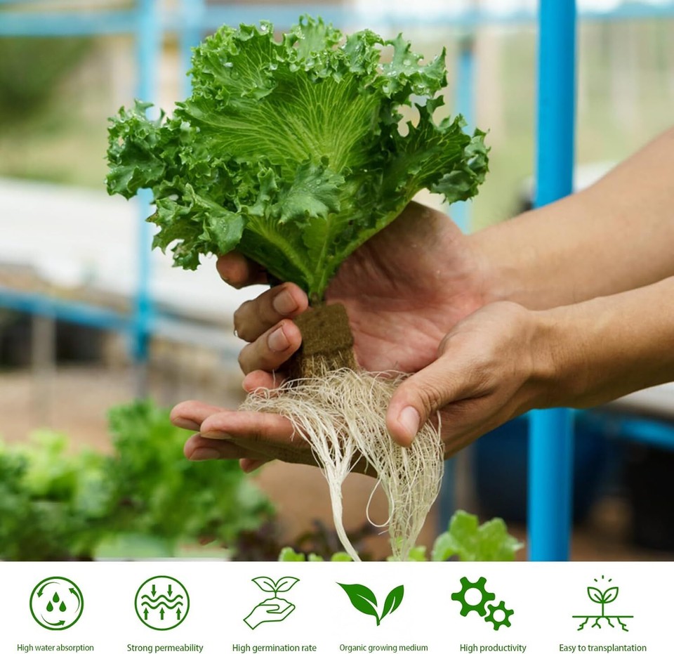 Premium Hydroponic Rockwool Grow Cubes Rapid Plant Growth Root ...