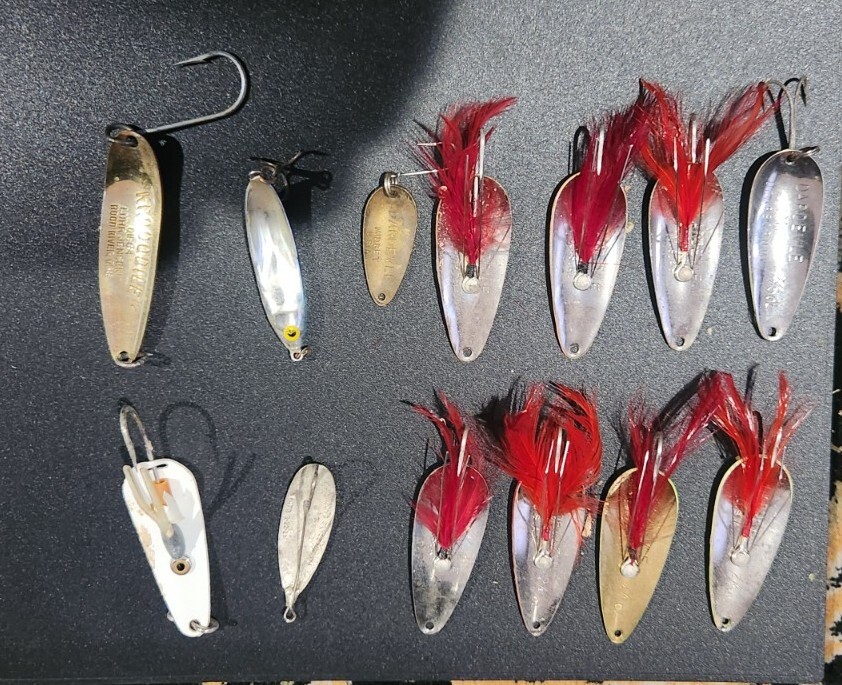 Weedless Daredevil spoons Lot of 9 | eBay
