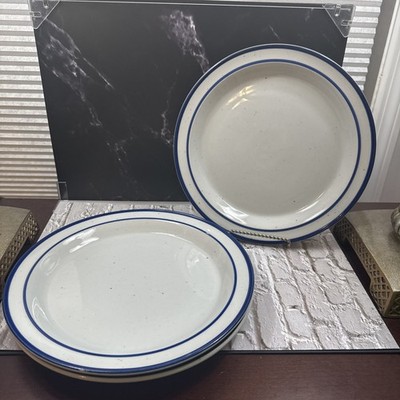 3 Takahashi Blue edge blue ring Speckled Dinner Plates 10 1/4 ...