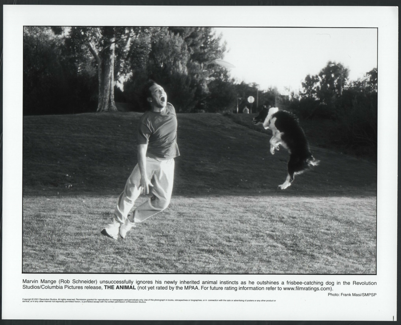 The Animal ’01 ROB SCHNEIDER DOG JUMPING VERY RARE | eBay