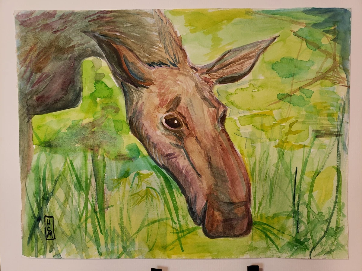Female Moose Drawing