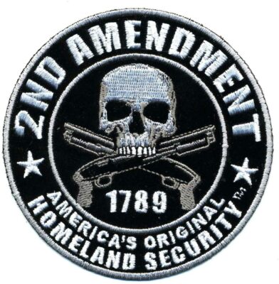 2nd Amendment Homeland Security Jacket Vest Back Patch [9.0 X 9.0 inch ...