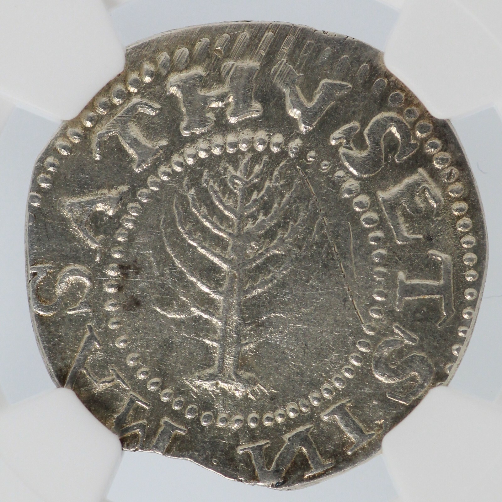 1652 Massachusetts Pine Tree Shilling N Rev NGC UNC Details Colonial ...