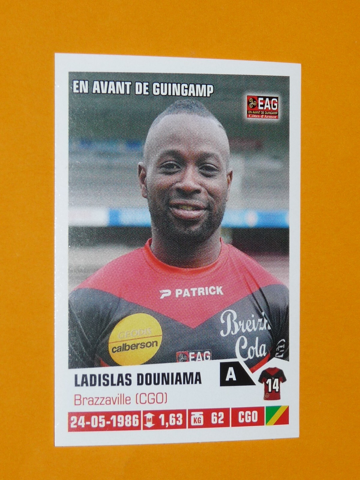 #116 LADISLAS DOUNIAMA EN AVANT GUINGAMP PANINI FOOTBALL FOOT 2013-2014 ...