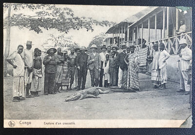 1914 Belgian Congo RPPC Postcard Cover To Wales Cocodrile Capture | eBay