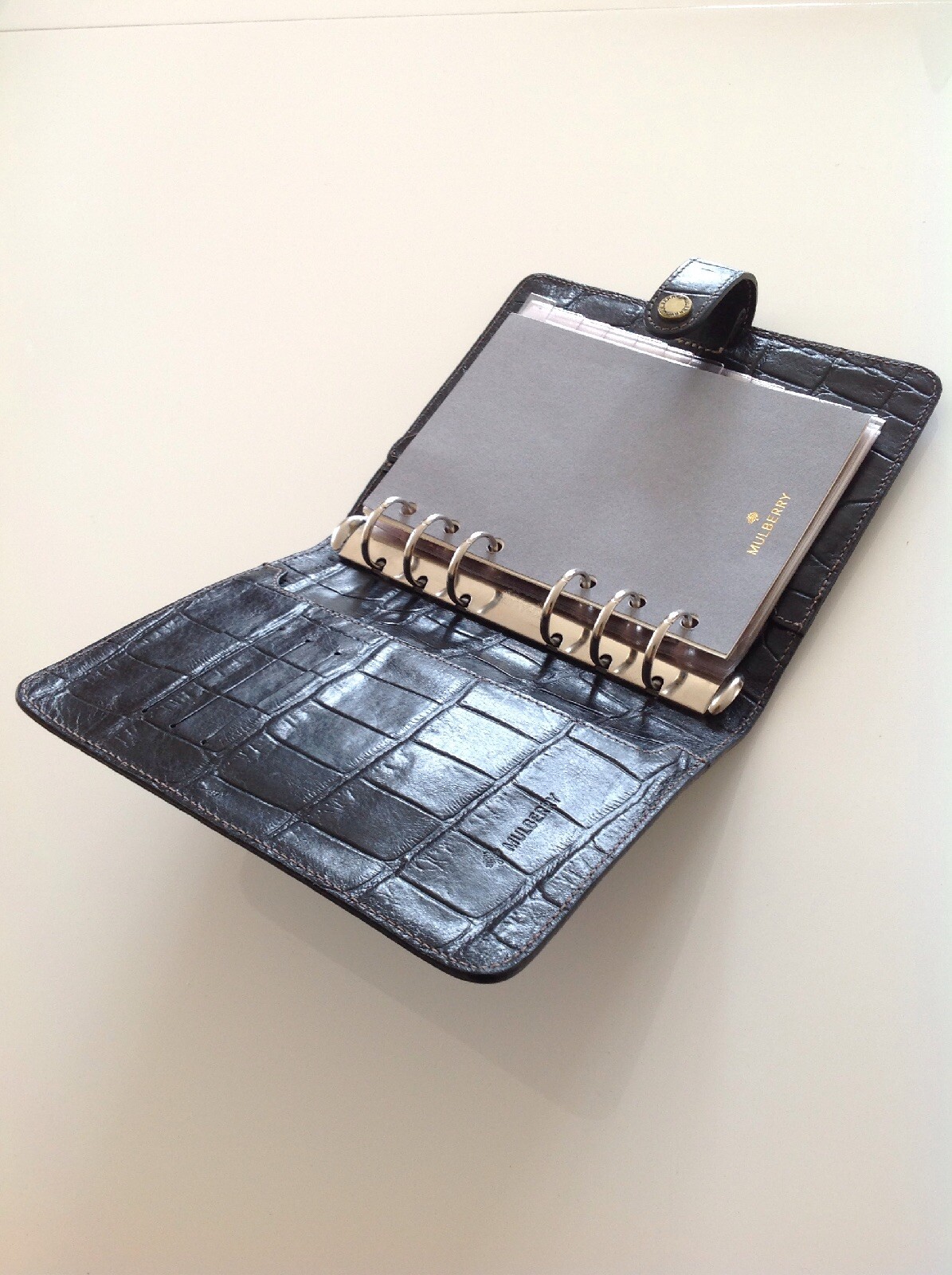 Mulberry Agenda for sale in UK | 44 used Mulberry Agendas