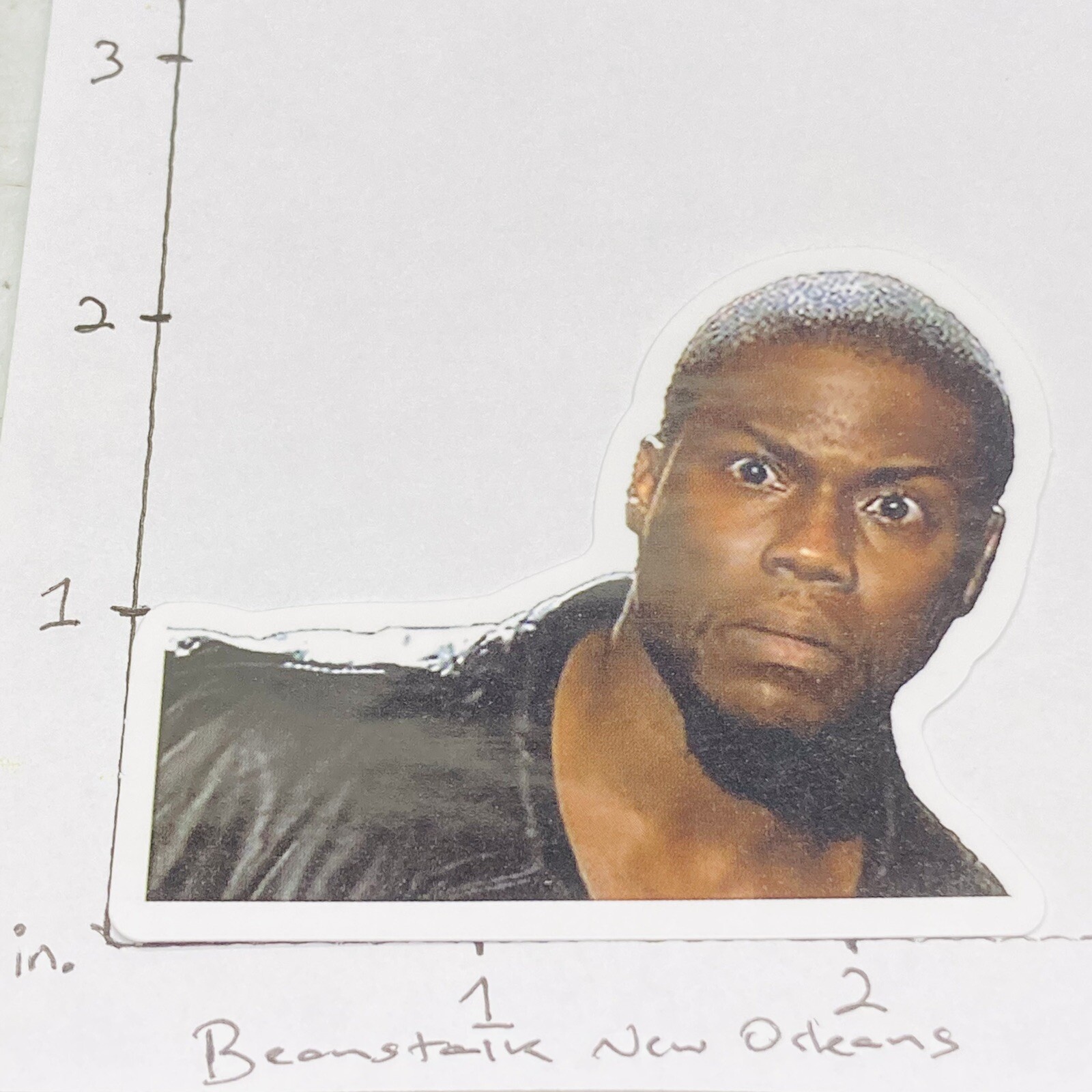NEW‼ Kevin Hart Say What Funny Humor Meme Vinyl Sticker Decal • w ...