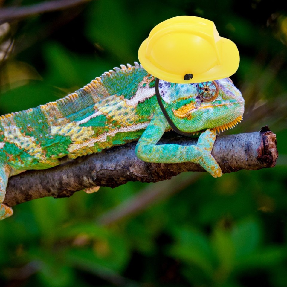 Mini Construction Craft Hats Small Pet Decorative Adorable Reptile Caps ...