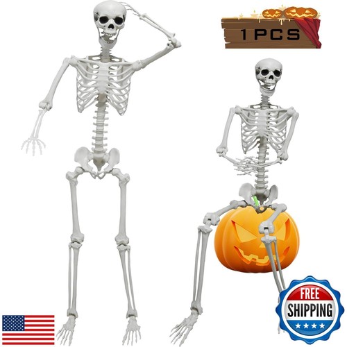 DINESIL 6Ft/185cm Halloween Skeleton, Life Size Skeleton Halloween ...