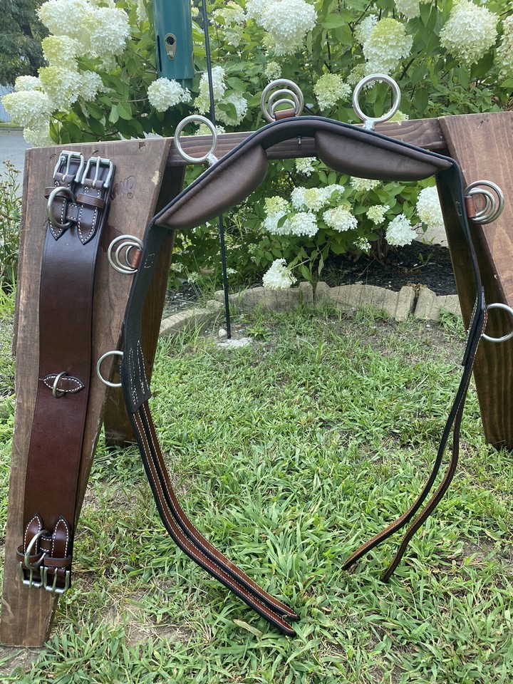 Leaders Leather Training Surcingle For Horse High Quality | eBay