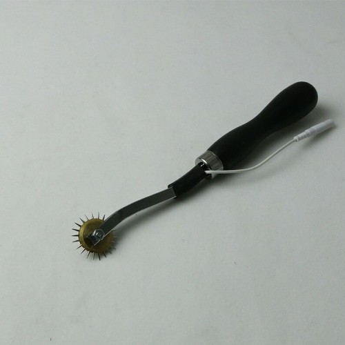 Electricity Wartenberg Wheel Estim Unit Sharp Wheels Monopolar de 2.0mm ...
