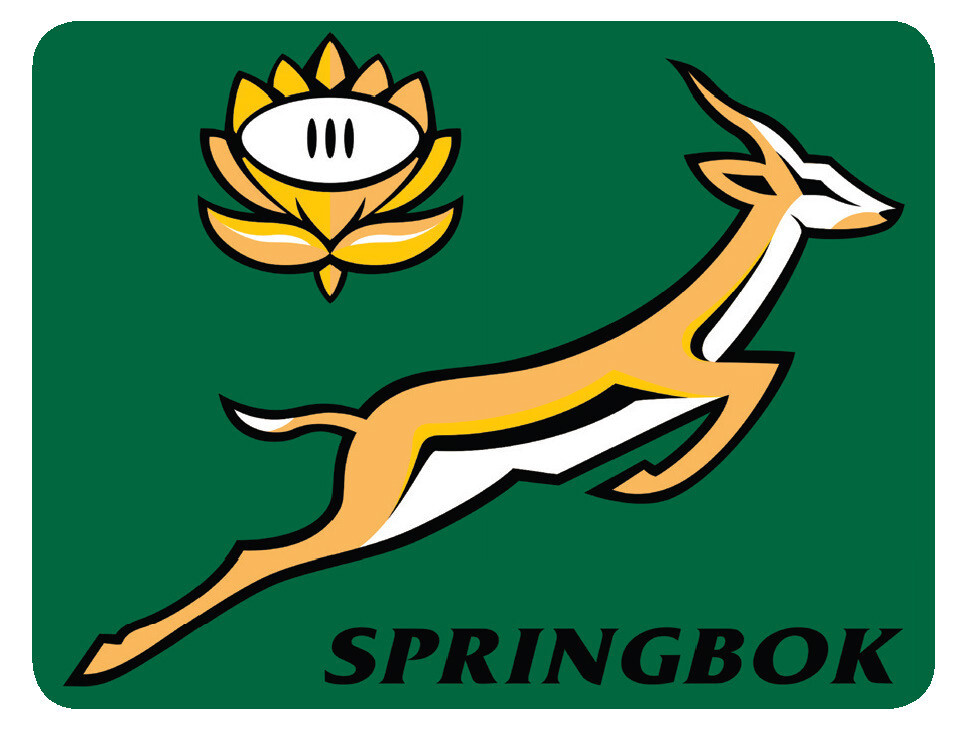 Springboks Rugby Logo