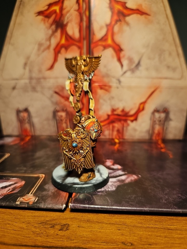 warhammer 40k adeptus custodes guard Squad Pro Painted | eBay