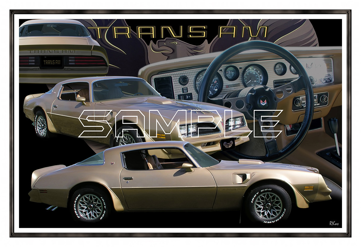 1978 Pontiac Firebird Trans Am Poster Print | eBay