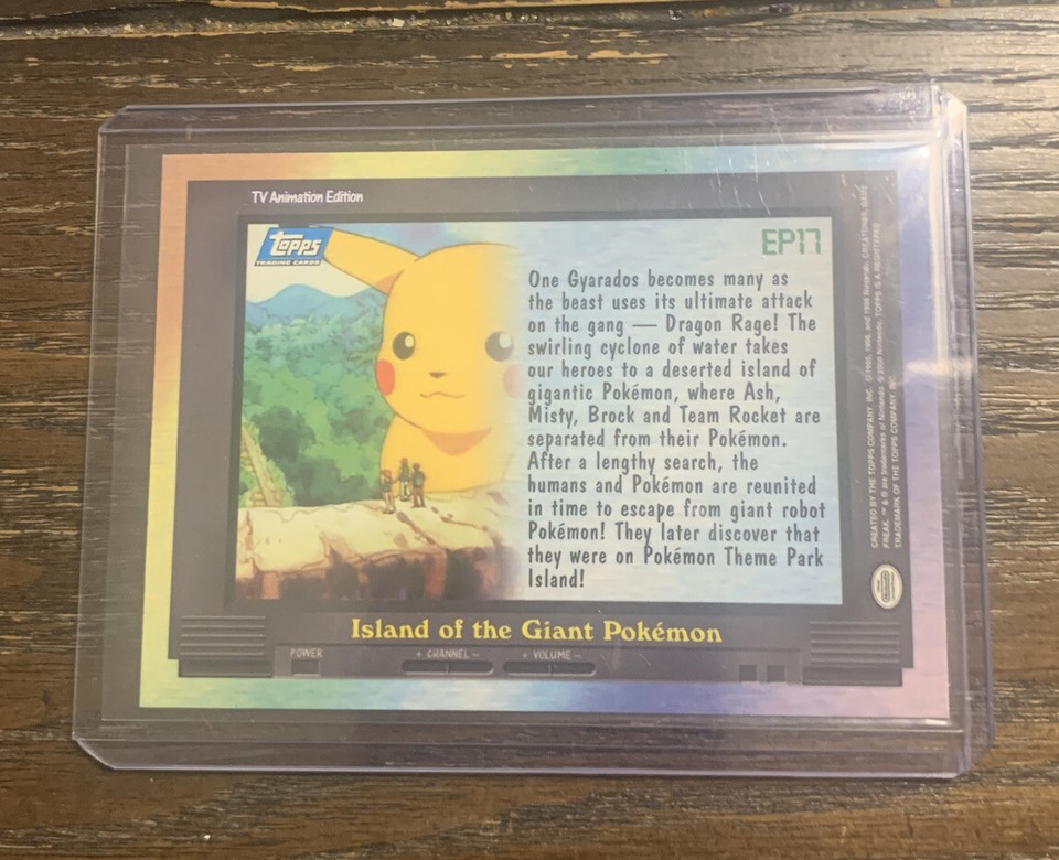 EP17 Island of the Giant Pokemon Pikachu - TV Animation Edition ...
