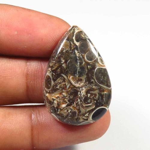 Brown Turtella Pear Polished Gems Natural turtella Plain Cabochon ...