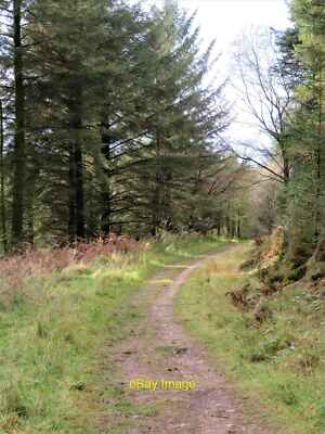 Photo 6x4 Bridleway through the forest Boltby Bridleway number 10.15 ...