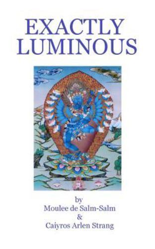 Exactly Luminous : The Erotic Spiritual Poems of the 6th Dalai Lama ...