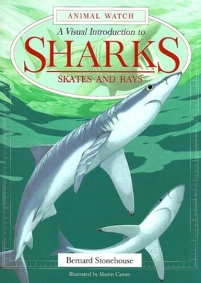 Sharks (Animal Watch) by Bernard Stonehouse Hardback Book The Fast Free ...