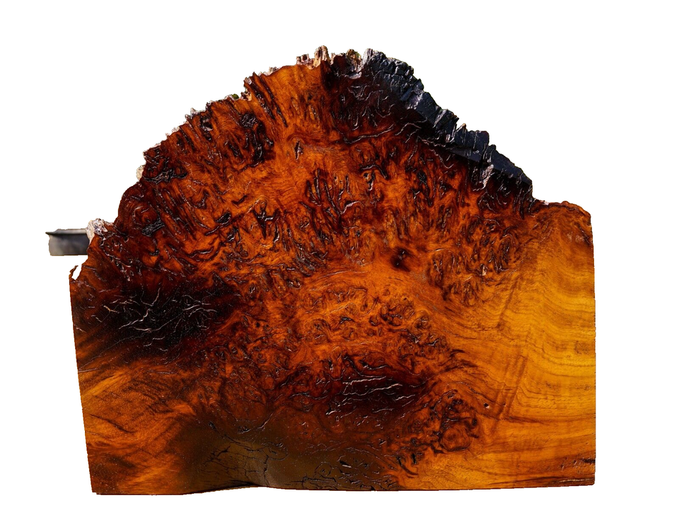 Gold AMBOYNA BURL LUMBER Live Edge Natural Slab Epoxy Resin DIY Table ...