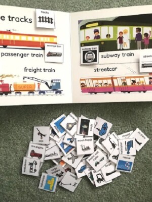 Special Needs / Autism Adapted Interactive Book - My First Book..Things ...