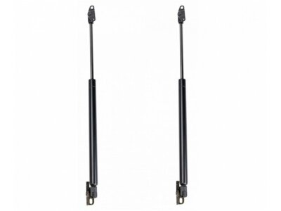 Lift Support Set For 04-06, 08-09 Lexus RX330 RX350 FT21Q2 | eBay