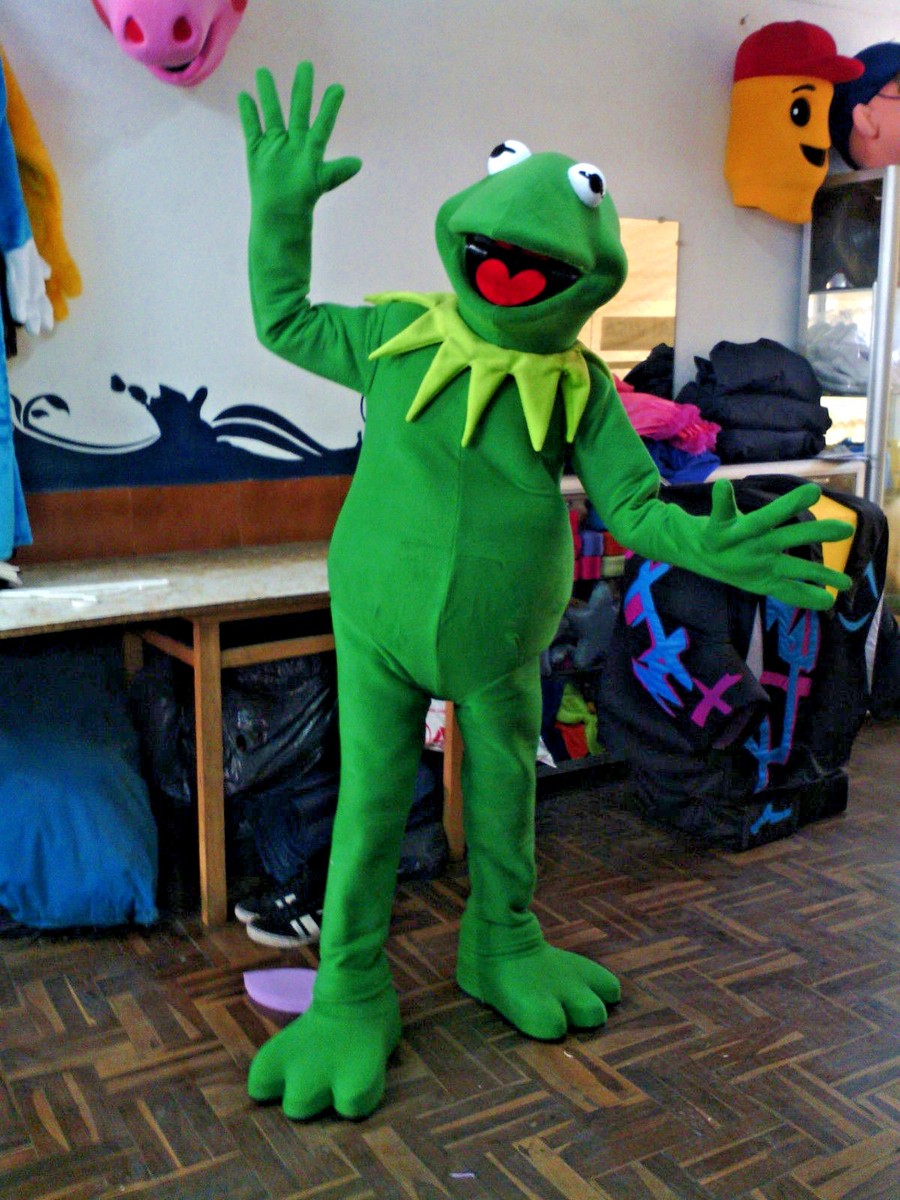Muppet Costume For Kids