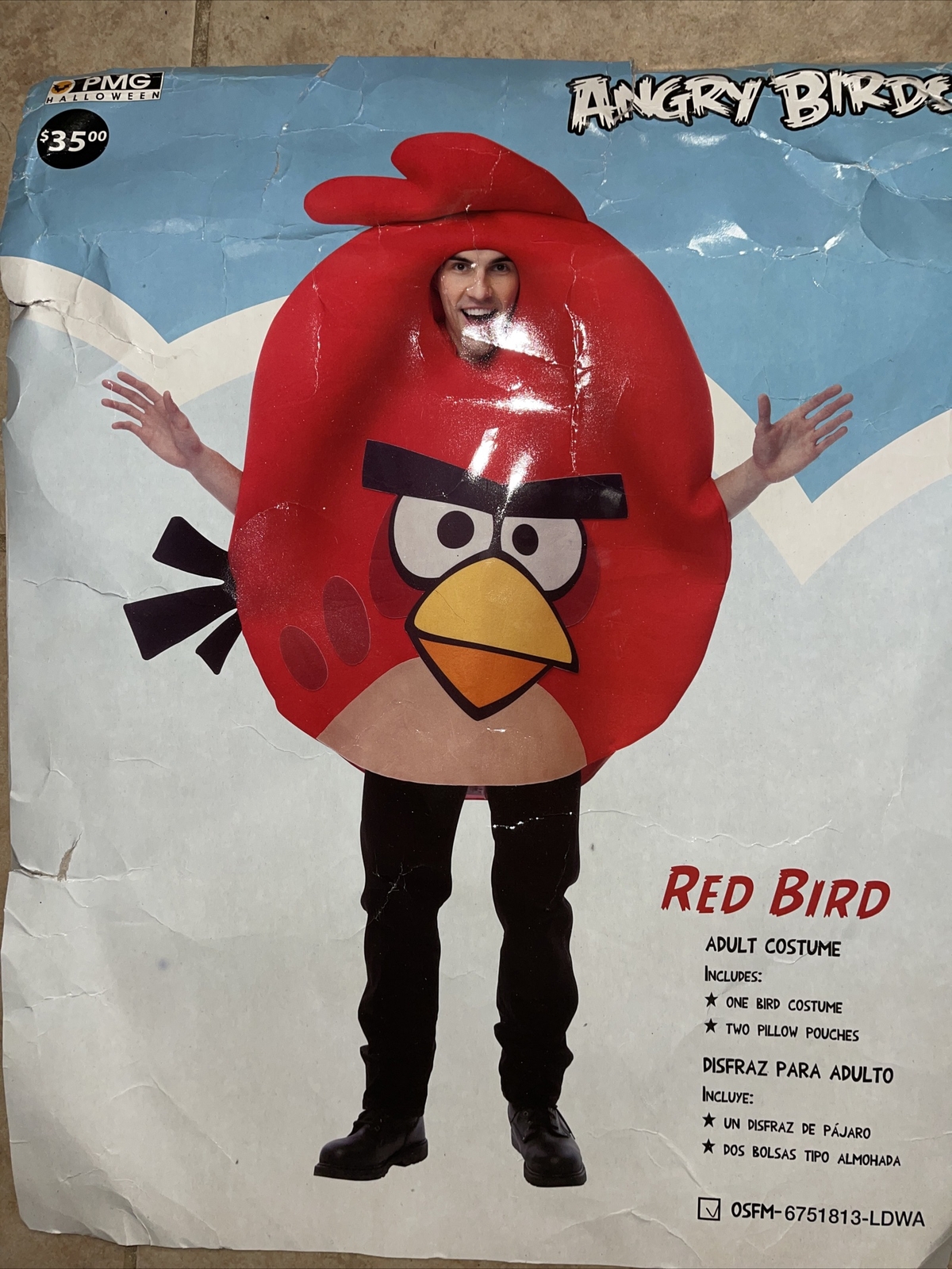 Angry Birds Halloween Costume