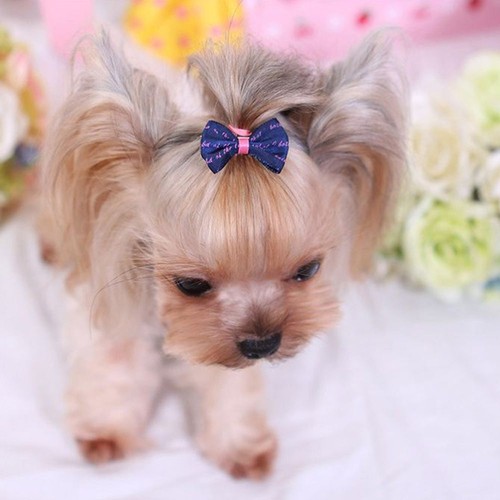 Beautiful Handmade Dog Accessories Headdress Pet Hair Clips Bow knot ...