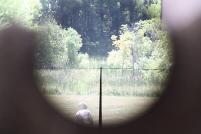 Lyman Alaskan Scope 2.5 X 2 1/2 All weather Sniper POST Reticle Bright ...