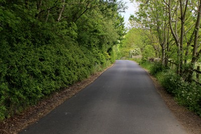 Photo 12x8 Rowley Lane Burnley Lane descending towards the River Brun ...